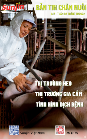 BẢN TIN CHĂN NUÔI SUNJIN SỐ 17 THÁNG 11 2022 - Sunjinvn