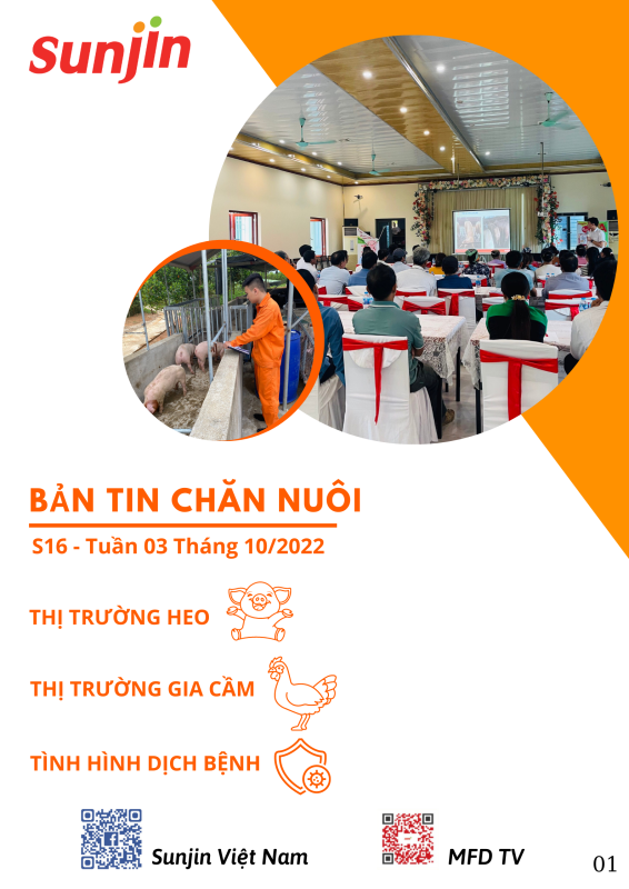 BẢN TIN CHĂN NUÔI SUNJIN SỐ 16 THÁNG 10 2022 - Sunjinvn