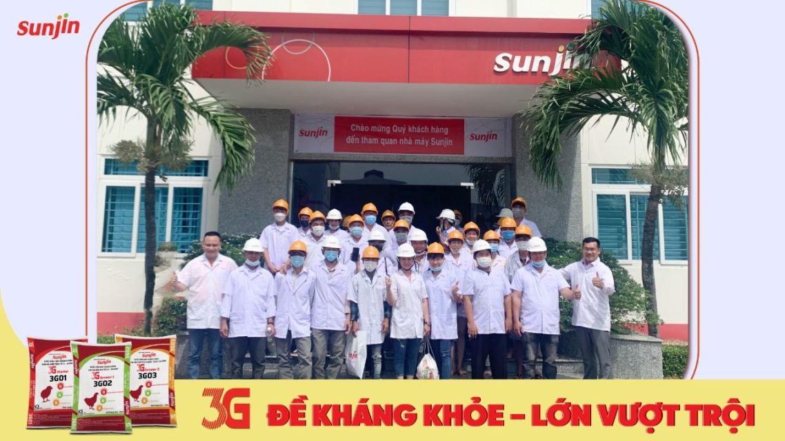 Animal feed - Sunjinvn